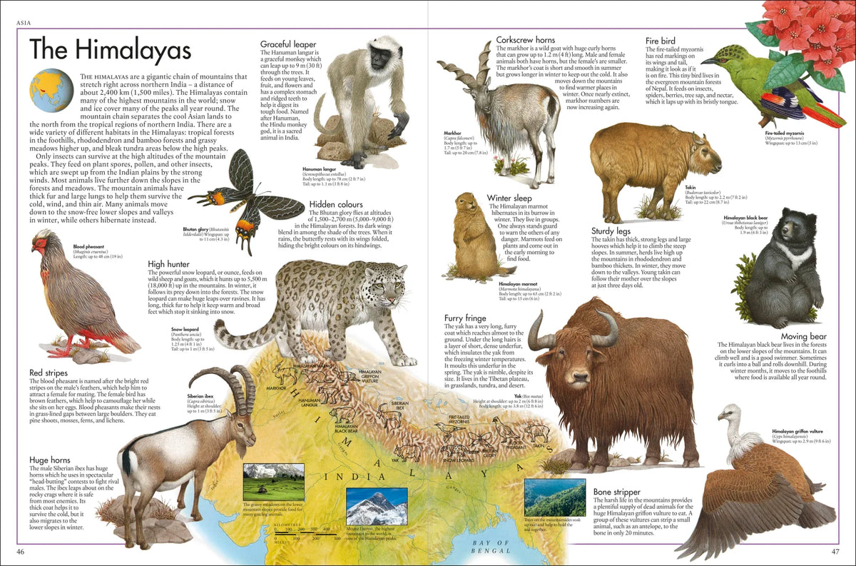 The Animal Atlas: A Pictorial Guide to the World's Wildlife – Toby's Trove