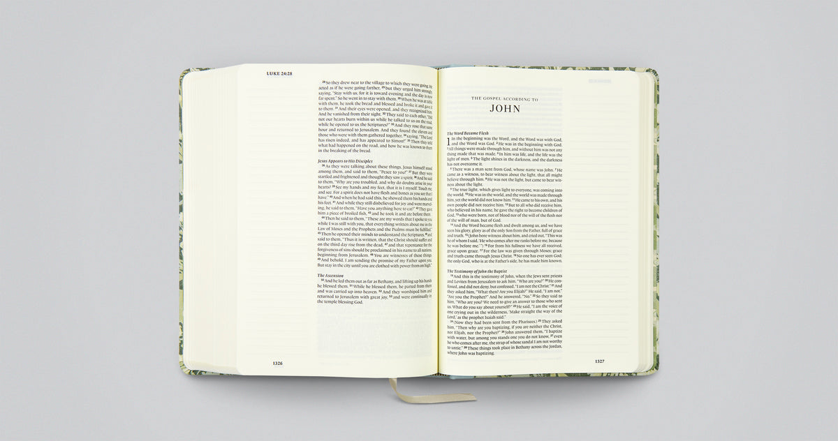 ESV Single Column Journaling Bible®, Large Print, Artist Series, Cloth ...