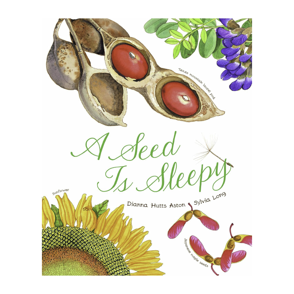 A Seed Is Sleepy – Toby's Trove