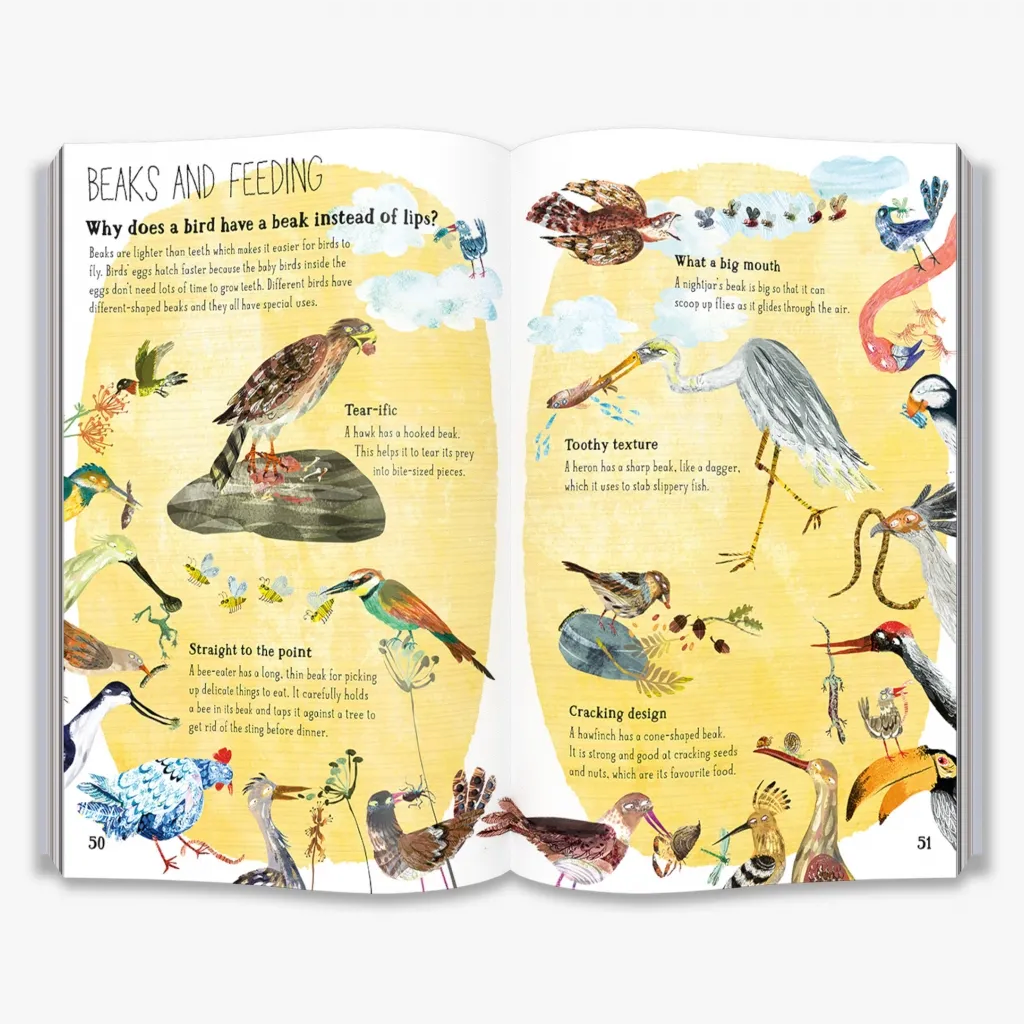 The Big Book of Birds – Toby's Trove