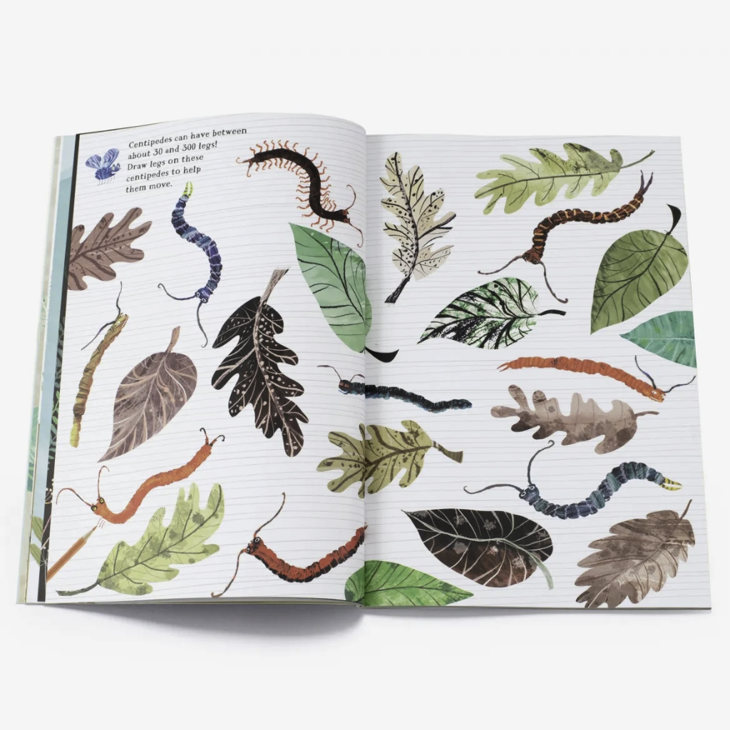 The Big Sticker Book of Bugs – Toby's Trove