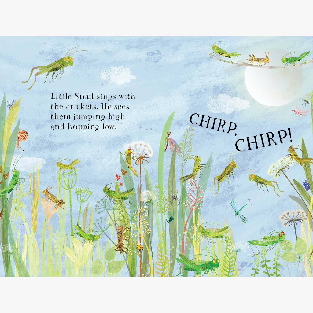 Little Snail's Book of Bugs – Toby's Trove